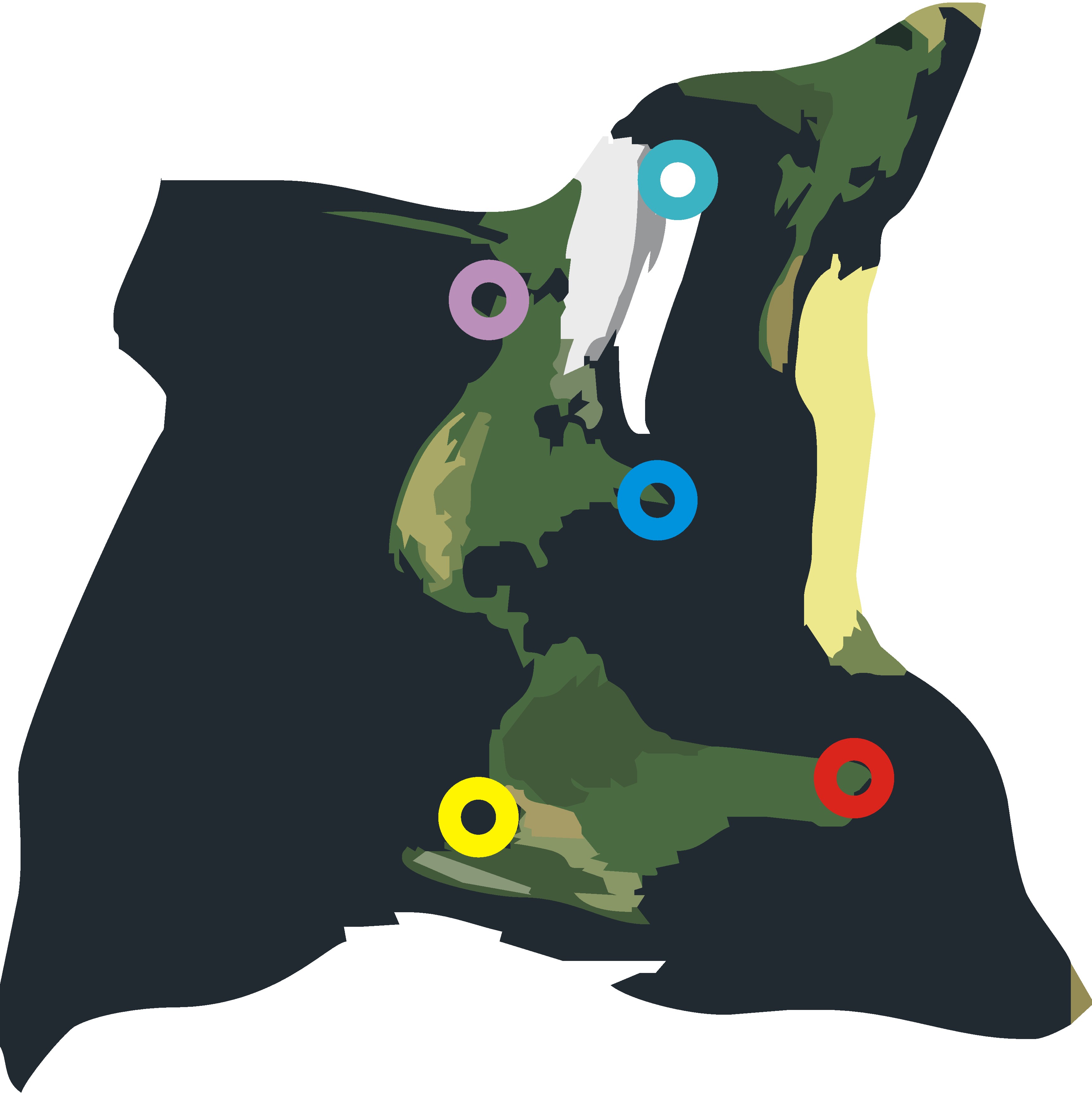 What have we discovered? – UCL Ear Institute