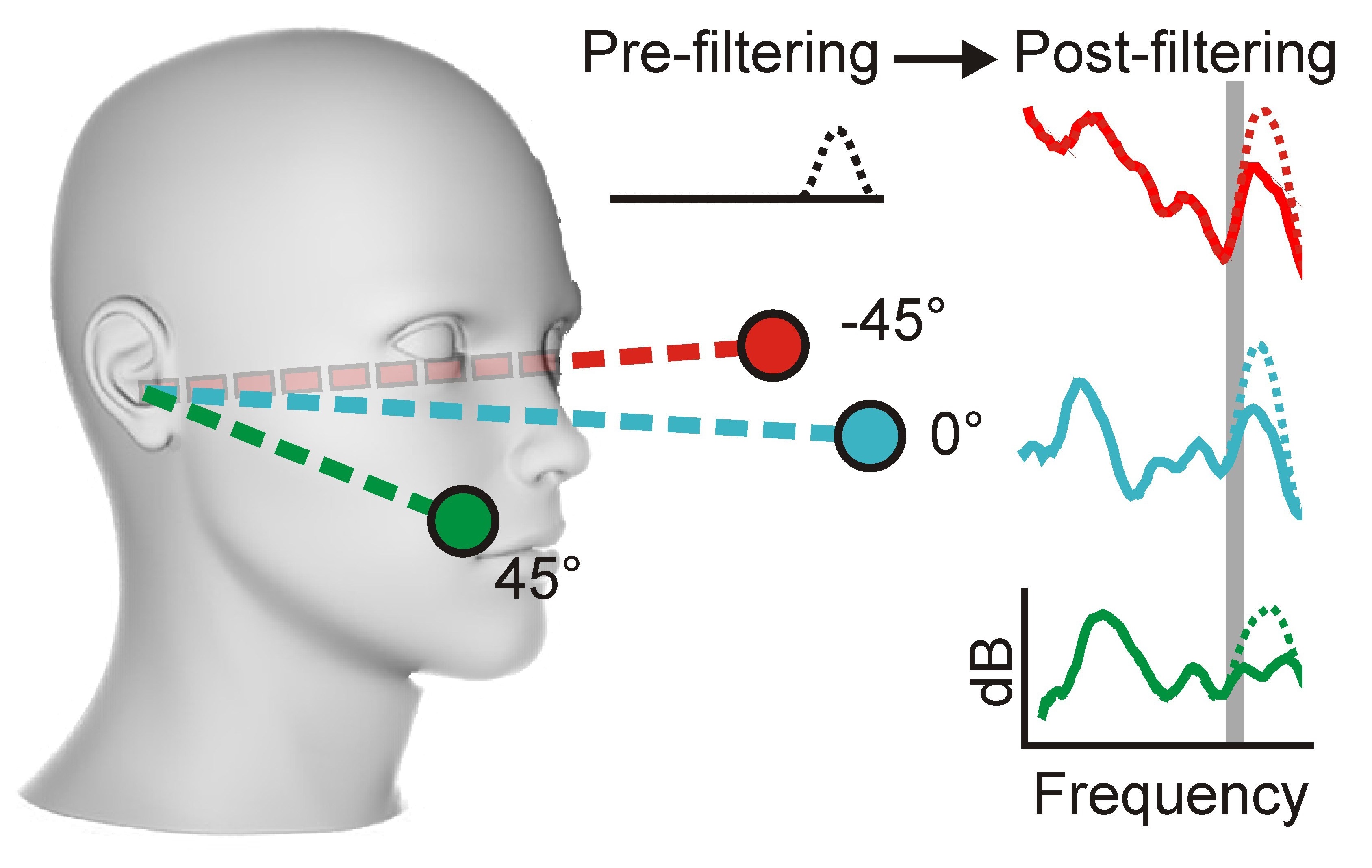 Why study spatial hearing? – UCL Ear Institute