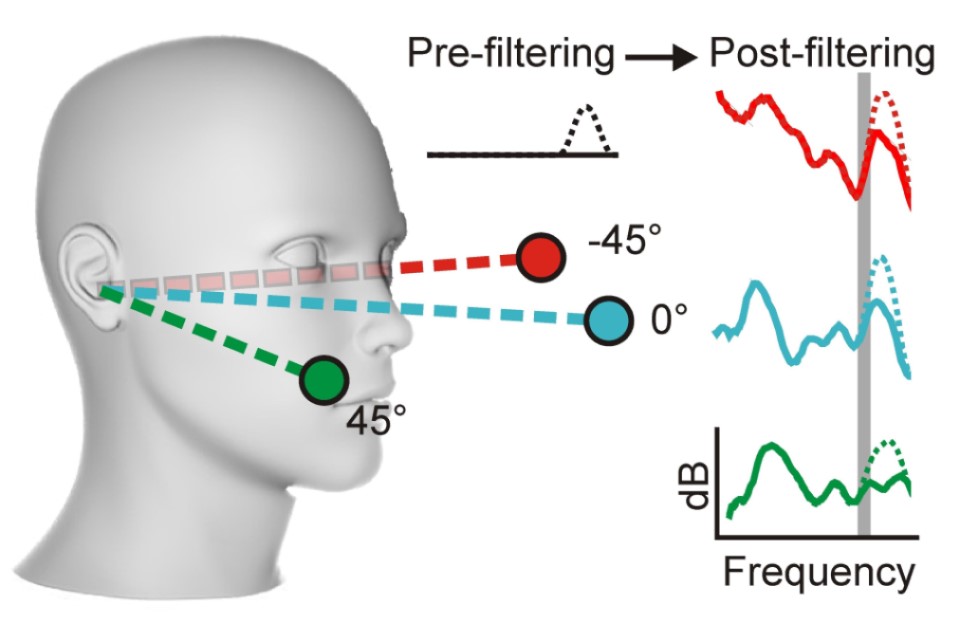 UCL Ear Institute – 332 Grays Inn Road, Kings Cross, London WC1X 8EE